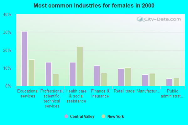 Central Valley, New York (NY 10917) profile: population, maps, real ...
