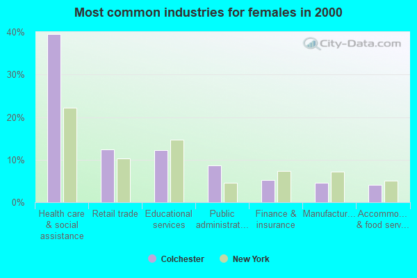 Colchester, New York (NY 12776) profile: population, maps, real estate ...