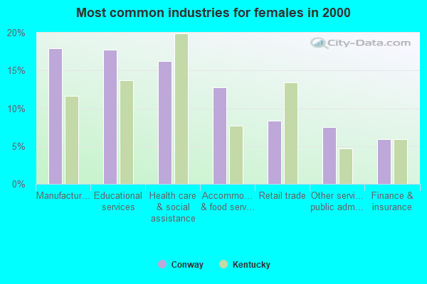 Conway, Kentucky (KY 40456) profile: population, maps, real estate ...