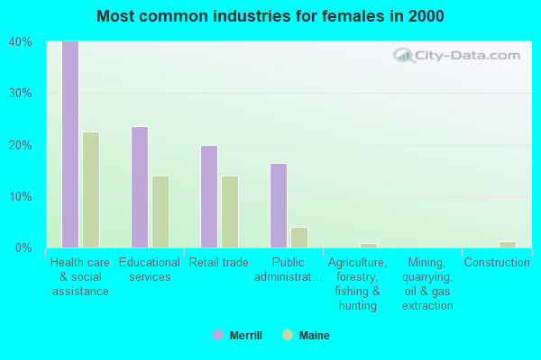 Merrill, Maine (ME 04780) profile: population, maps, real estate ...