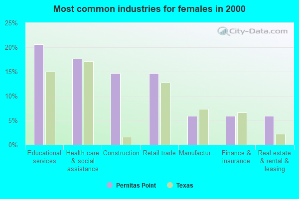 Pernitas Point, Texas (TX 78383) profile: population, maps, real estate ...