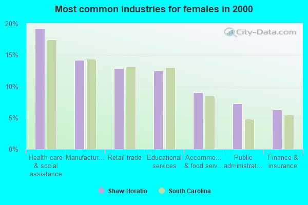 Shaw-Horatio, South Carolina (SC 29154) profile: population, maps, real ...