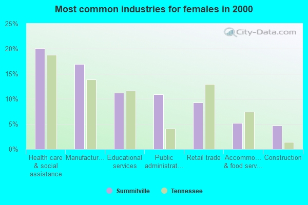 Summitville, Tennessee (TN 37357) profile: population, maps, real ...
