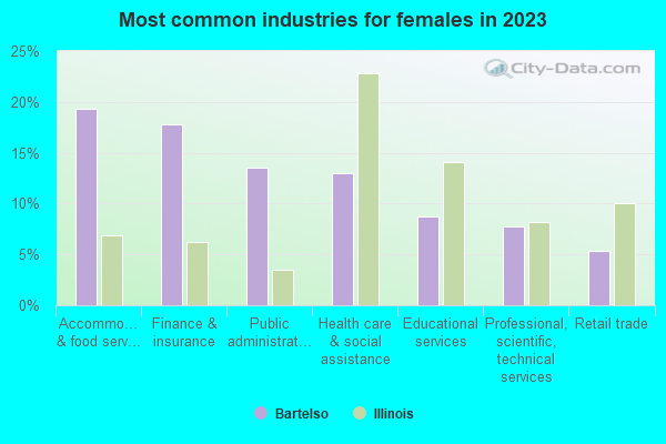 Bartelso, Illinois (IL 62218) profile: population, maps, real estate ...