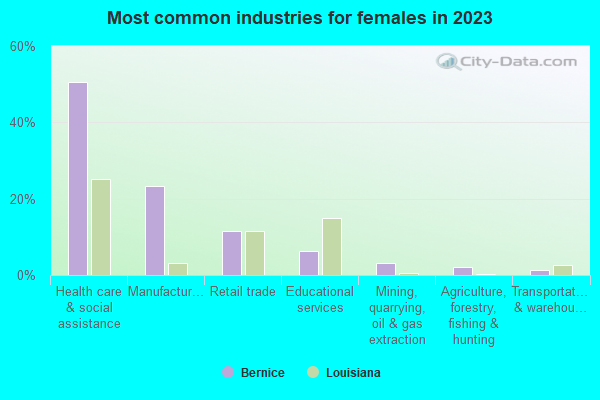 Bernice, Louisiana (LA 71222) profile: population, maps, real estate ...