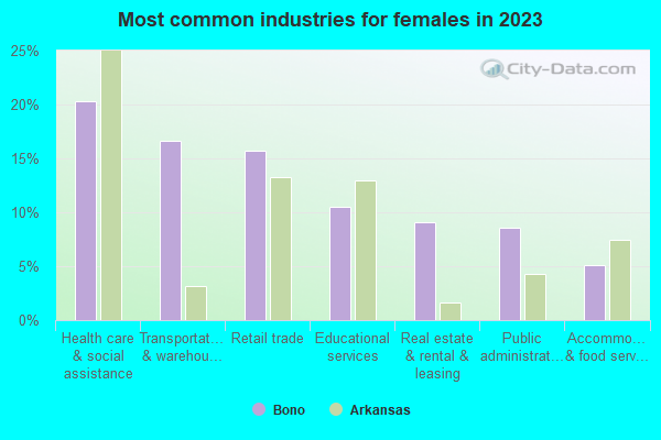 Bono, Arkansas (AR 72416) profile: population, maps, real estate ...