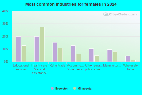 Brewster, Minnesota (MN 56119) profile: population, maps, real estate ...