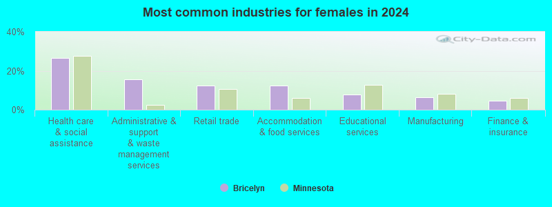 Bricelyn, Minnesota (MN 56014) profile: population, maps, real estate ...