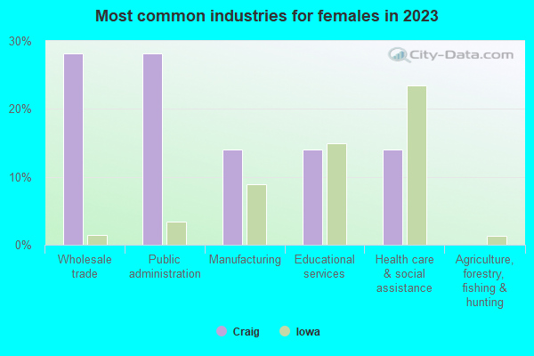 Craig, Iowa (IA 51031) profile: population, maps, real estate, averages ...