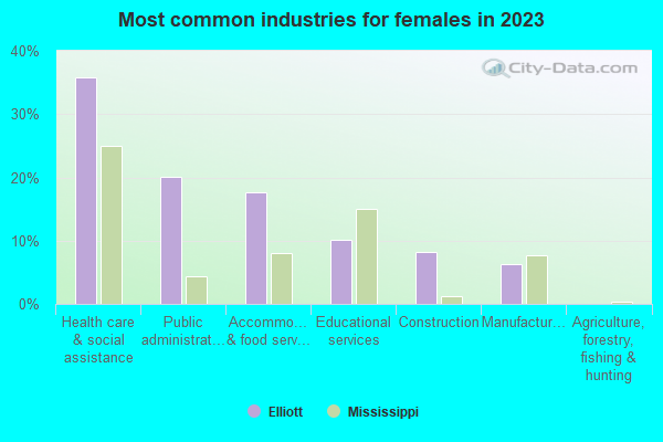 Elliott, Mississippi (MS 38901) profile: population, maps, real estate ...