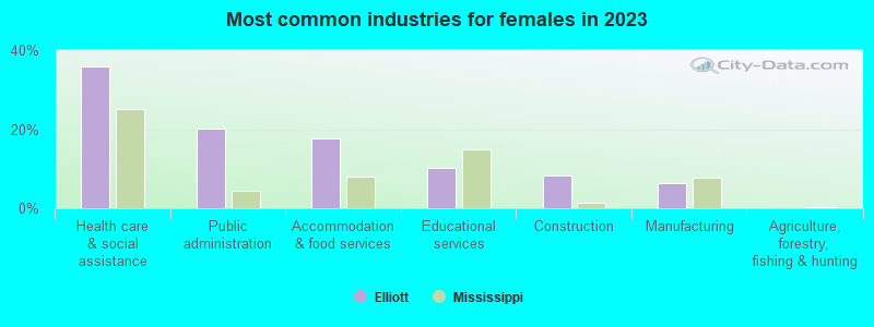 Elliott, Mississippi (MS 38901) profile: population, maps, real estate ...