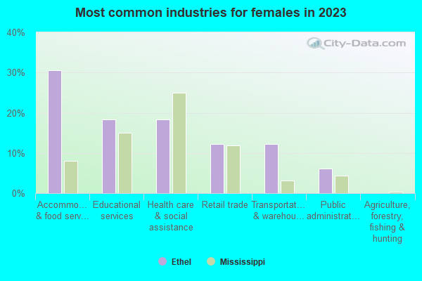 Ethel, Mississippi (MS 39067) profile: population, maps, real estate ...