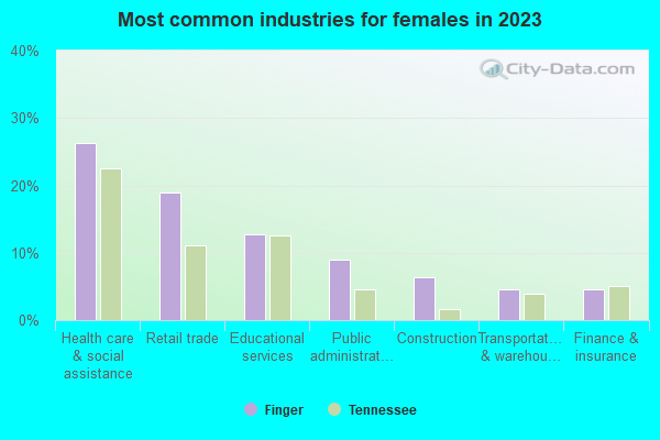 Finger, Tennessee (TN 38334) profile: population, maps, real estate ...