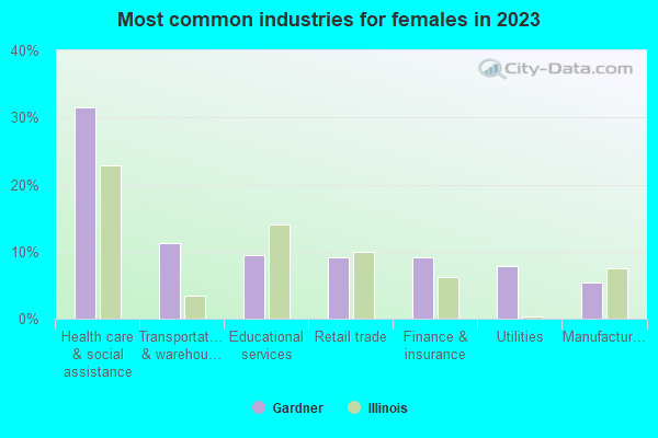 Gardner, Illinois (IL 60424) profile: population, maps, real estate ...