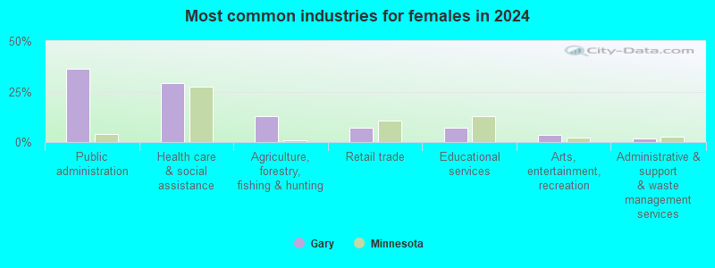 Gary, Minnesota (MN 56545) profile: population, maps, real estate ...