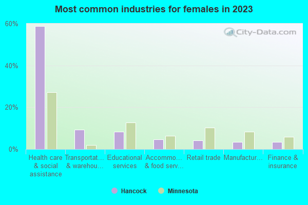 Hancock, Minnesota (MN 56244) profile: population, maps, real estate ...