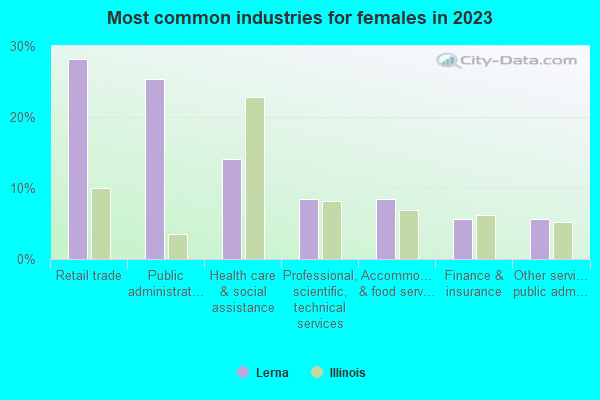 Lerna, Illinois (IL 62440) profile: population, maps, real estate ...