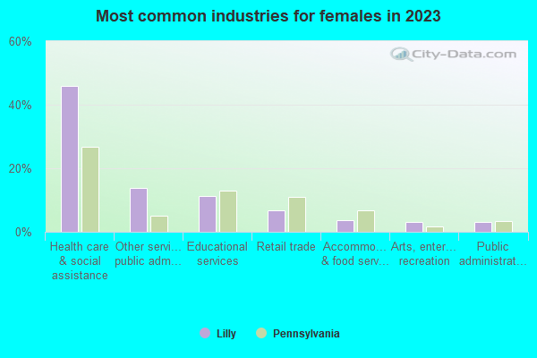 Lilly, Pennsylvania (PA 15938) profile: population, maps, real estate ...