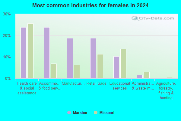 Marston, Missouri (MO 63866) profile: population, maps, real estate ...