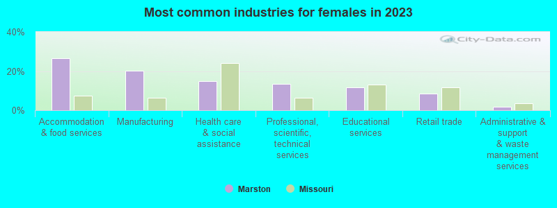Marston, Missouri (MO 63866) profile: population, maps, real estate ...