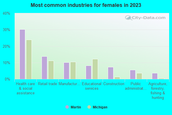 Martin, Michigan (MI 49070) profile: population, maps, real estate ...