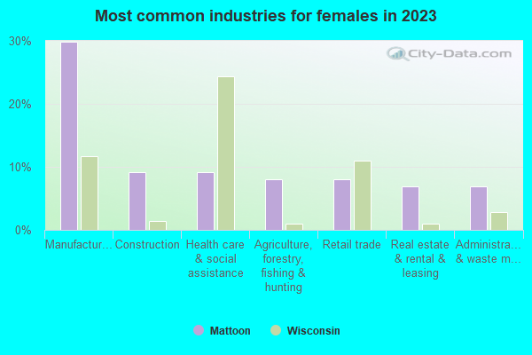 Mattoon, Wisconsin (WI 54450) profile: population, maps, real estate ...