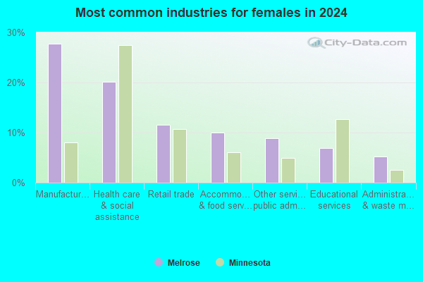 Melrose, Minnesota (MN 56378) profile: population, maps, real estate ...