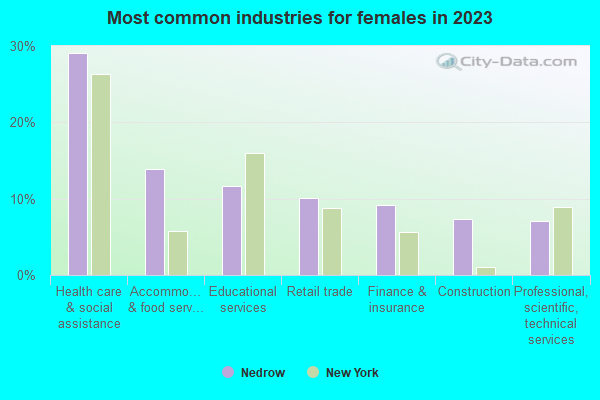 Nedrow, New York (NY 13120, 13205) profile: population, maps, real ...