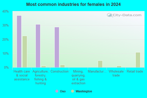 Oso, Washington (WA 98223) profile: population, maps, real estate ...