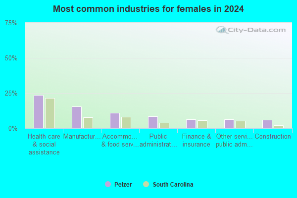 Pelzer, South Carolina (SC 29669) profile: population, maps, real ...