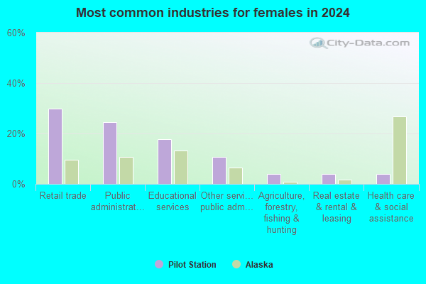 Pilot Station, Alaska (AK 99650) profile: population, maps, real estate ...