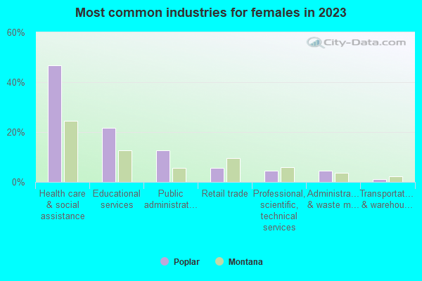 Poplar, Montana (MT 59255) profile: population, maps, real estate ...