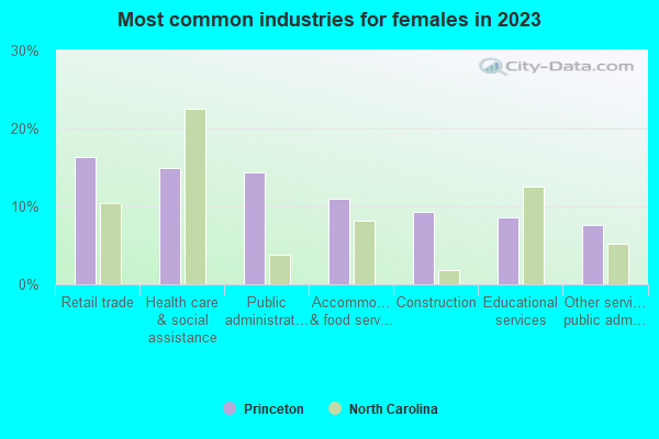 Princeton, North Carolina (NC 27569) profile: population, maps, real ...