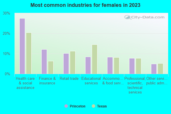 Princeton, Texas (TX 75407) profile: population, maps, real estate ...