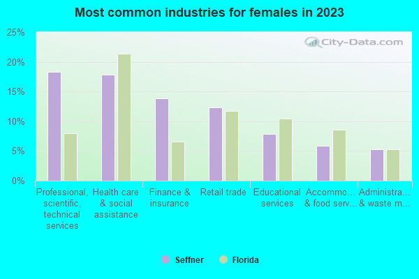 Seffner, Florida (FL 33584) profile: population, maps, real estate ...