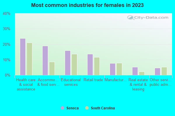 Seneca, South Carolina (SC 29678) profile: population, maps, real ...