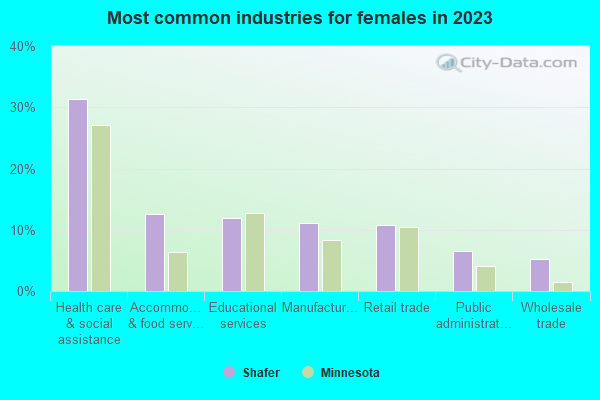 Shafer, Minnesota (MN 55074) profile: population, maps, real estate ...