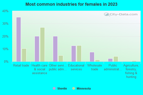 Shevlin, Minnesota (MN 56676) profile: population, maps, real estate ...