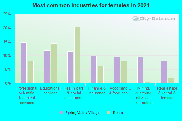 Spring Valley Village, Texas (TX) profile: population, maps, real ...