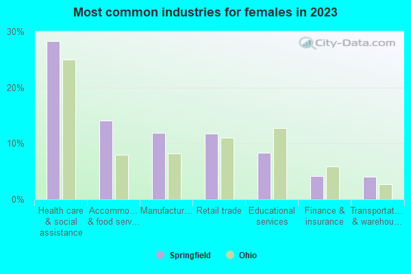 Springfield, Ohio (OH) profile: population, maps, real estate, averages ...