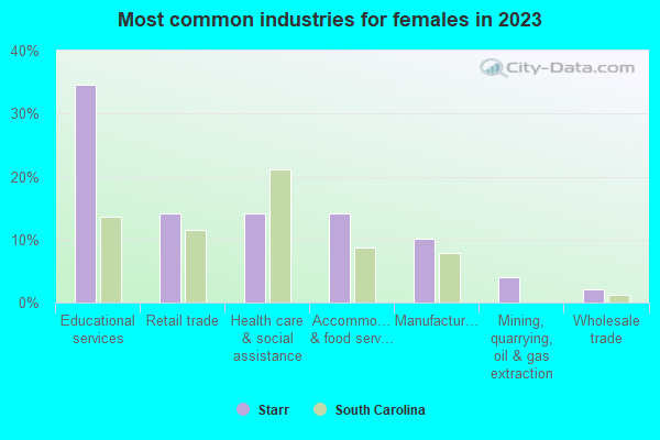Starr, South Carolina (SC 29684) profile: population, maps, real estate ...