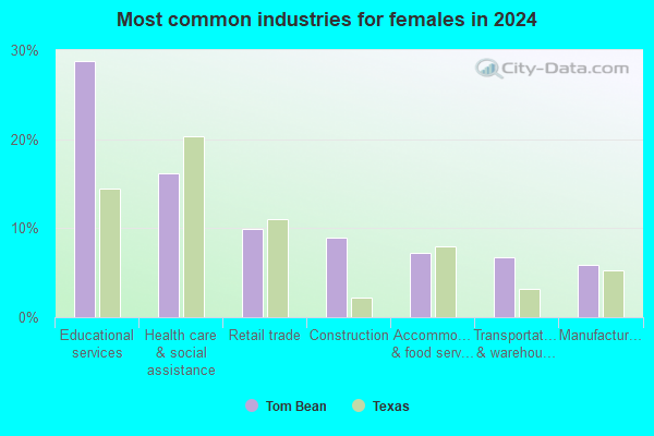 Tom Bean, Texas (TX 75489, 75491) profile: population, maps, real ...