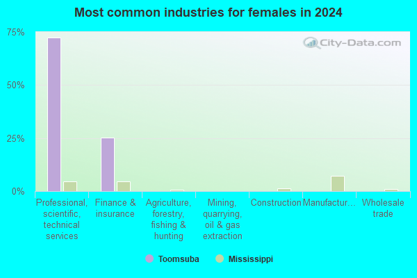 Toomsuba, Mississippi (MS 39364) profile: population, maps, real estate ...