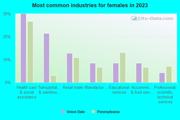 Union Dale, Pennsylvania (PA 18470) profile: population, maps, real ...