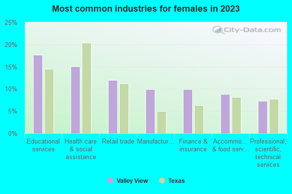 Valley View, Texas (TX 76272) profile: population, maps, real estate ...