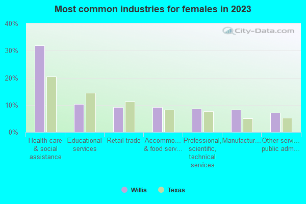Willis, Texas (TX 77378) profile: population, maps, real estate ...