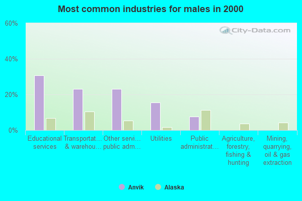 Anvik, Alaska (AK 99558) profile: population, maps, real estate ...