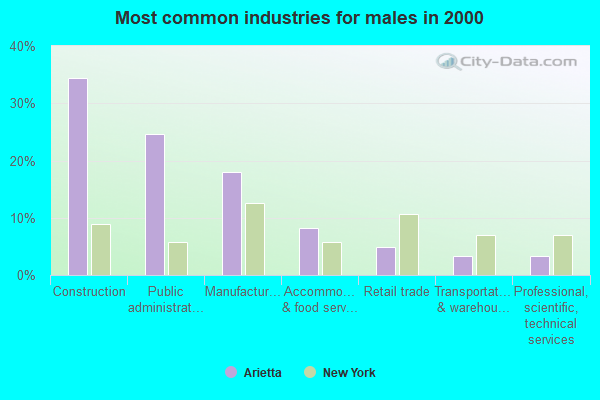 Arietta, New York (NY 12139) profile: population, maps, real estate ...