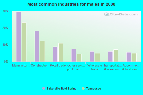 Bakerville-Bold Spring, Tennessee (TN 37078) profile: population, maps ...