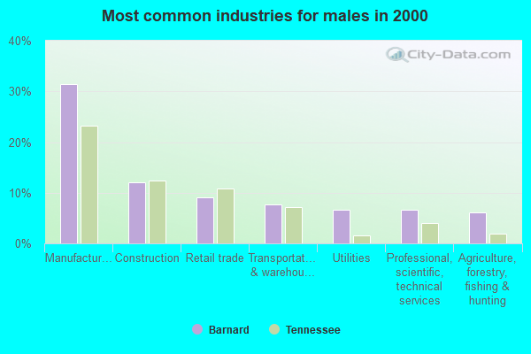 Barnard, Tennessee (TN 37880) profile: population, maps, real estate ...